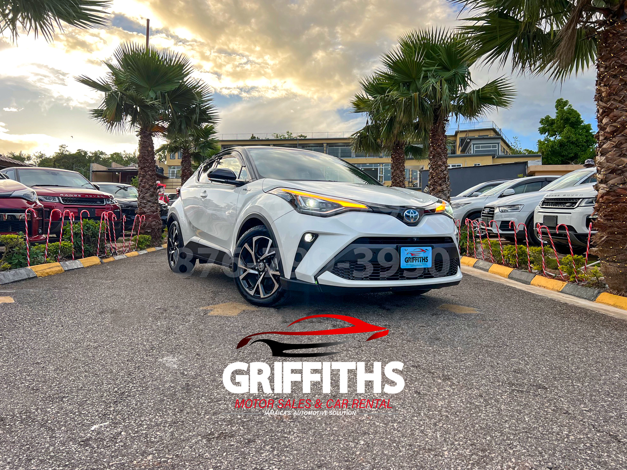 2020 Toyota CHR Hybrid for Sale in Jamaica | Griffiths Motor Sales